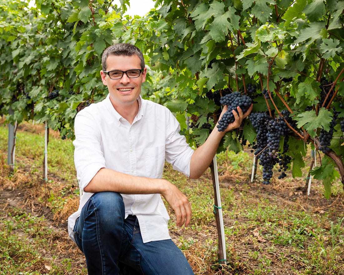 9~12本ワインセット – Daniel's Wine Club